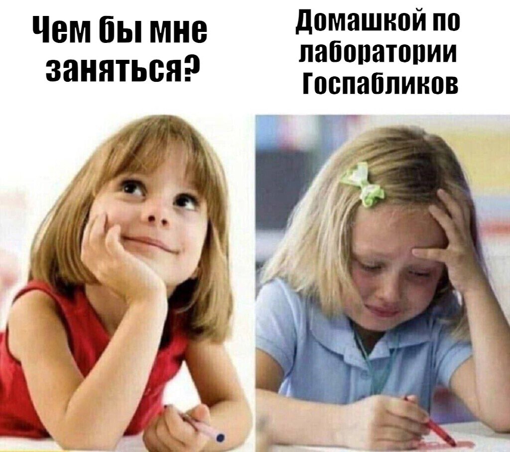 Мем Чем бы мне заняться? домашкой по лаборатории госпабликов №189354