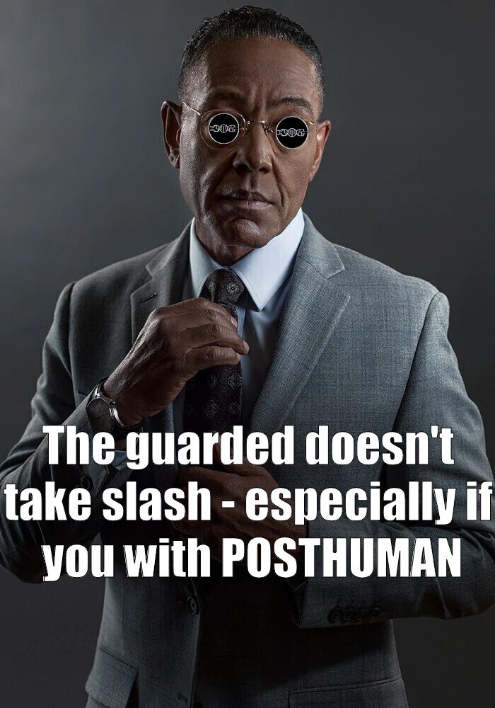 Мем The guarded doesn't take slash - especially if you with posthuman ...