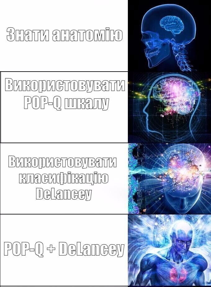 Мем Знати анатомію використовувати pop-q шкалу №208342