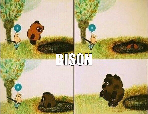 Мем Bison №244815