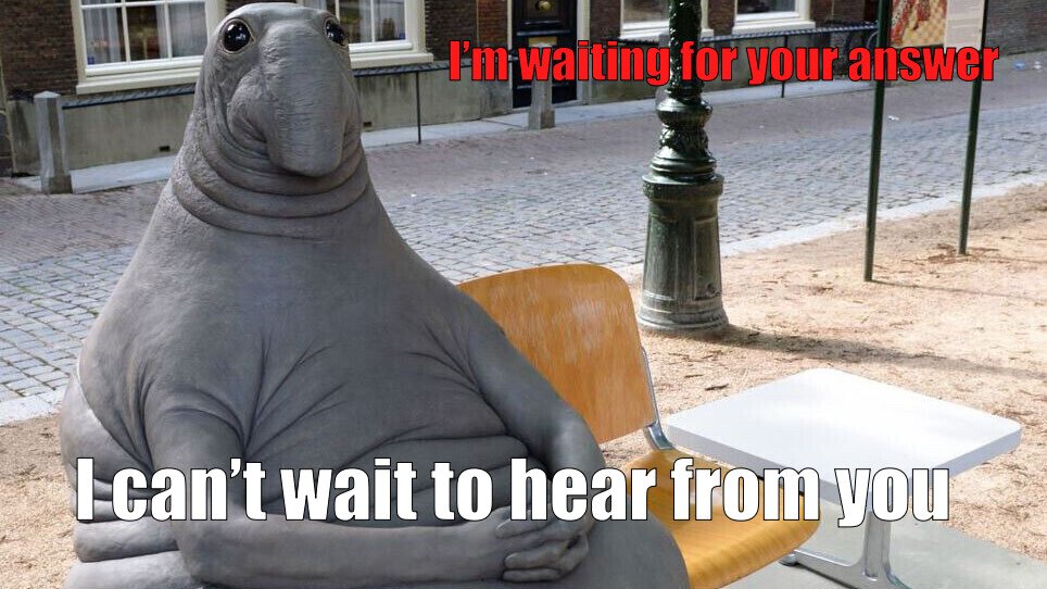 Мем I’m waiting for your answer i can’t wait to hear from you №230842