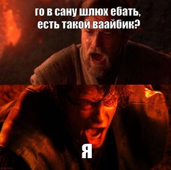 Мем Го в сану шлюх ебать, есть такой ваайбик? я №239698