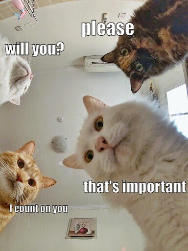 Мем I count on you please №334245