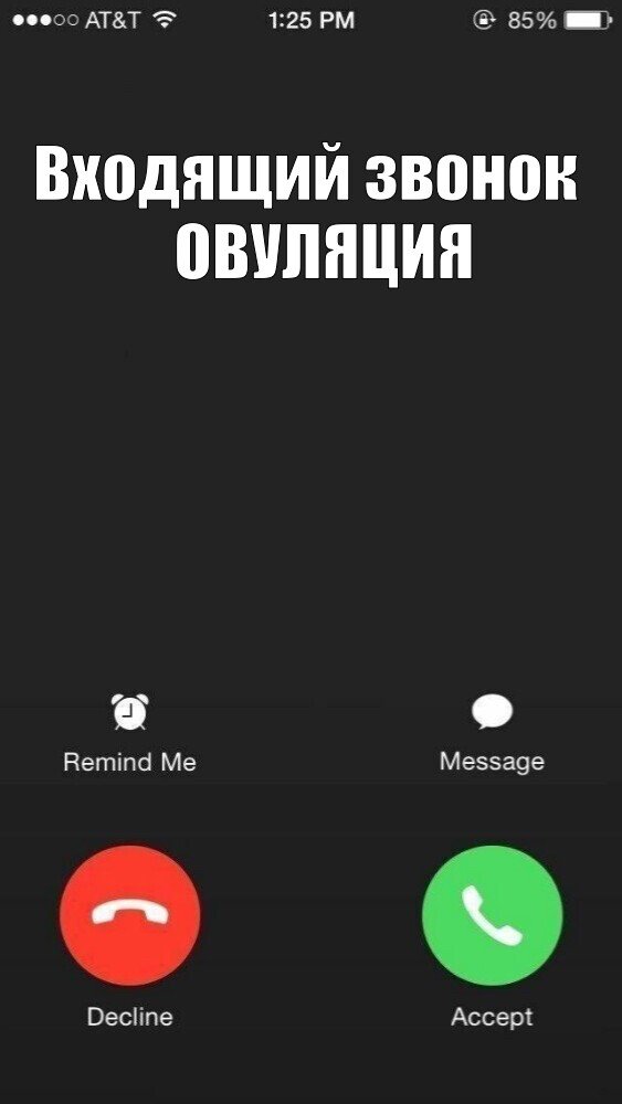 Мем Входящий звонок овуляция №338339
