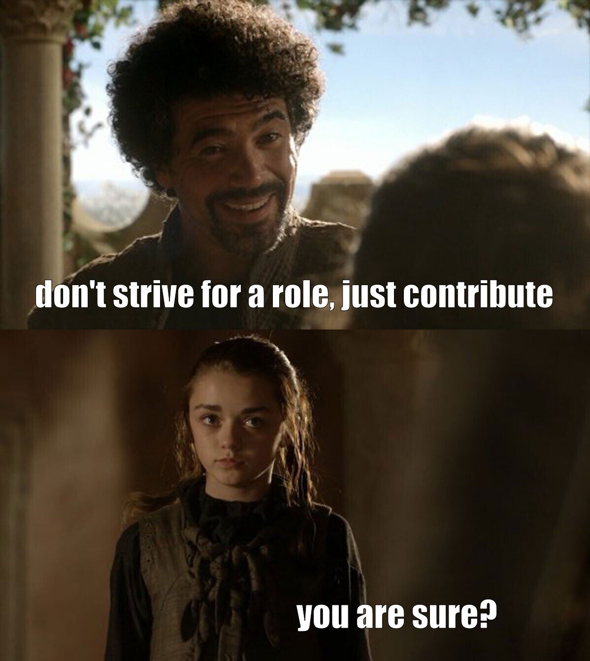 Мем You are sure? don't strive for a role, just contribute №301769