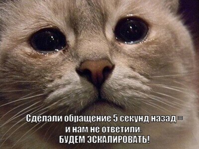 Мем Сделали обращение 5 секунд назад =и нам не ответили. будем ...