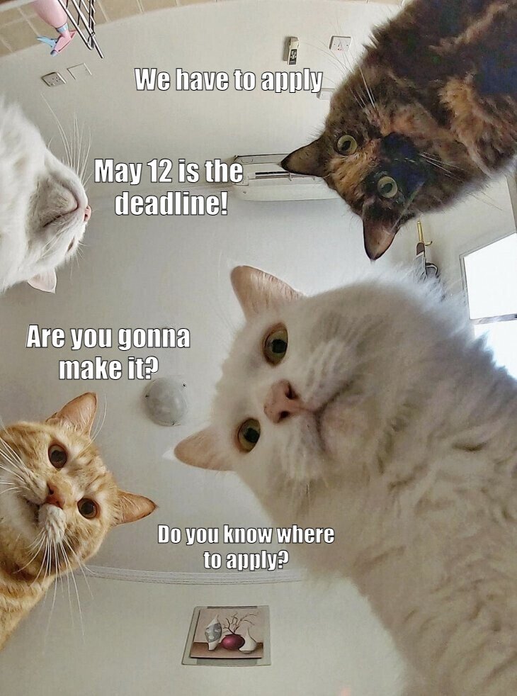 Мем We have to apply are you gonna make it? №216453