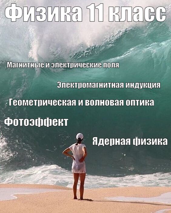 Мем Физика 11 класс магнитные и электрические поля №305509