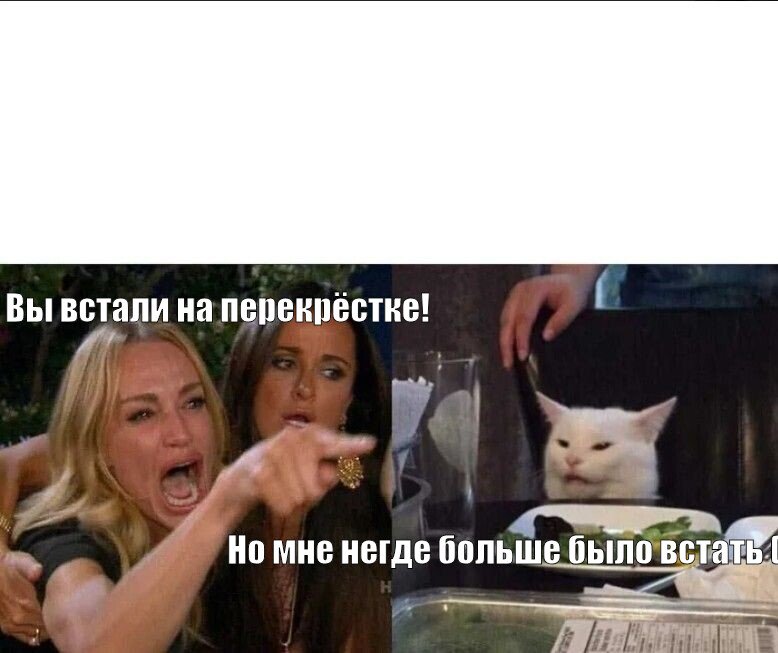 Мем Вы встали на перекрёстке! но мне негде больше было встать ( №363825