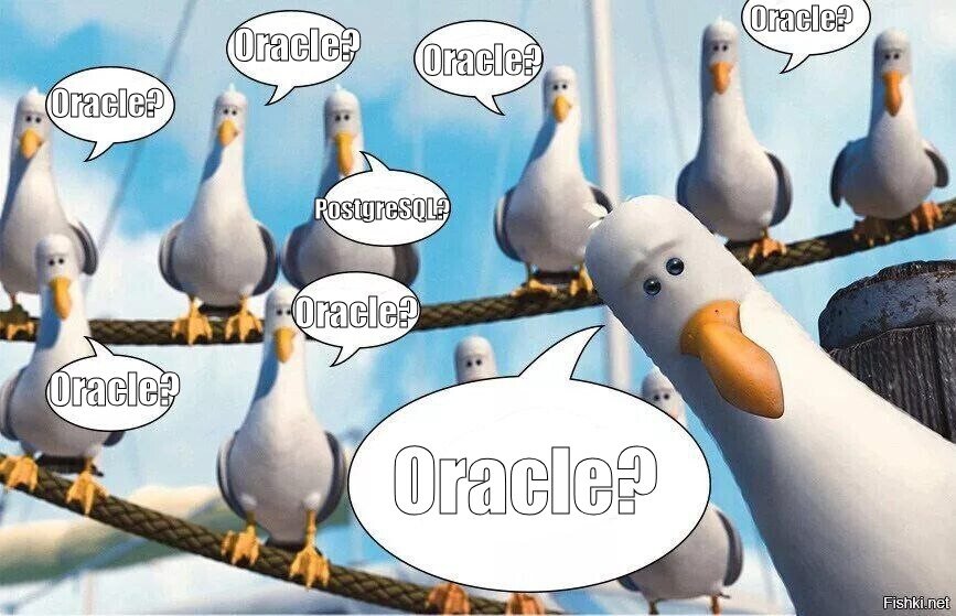 Мем Oracle? oracle? №308947