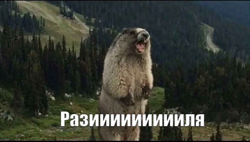 Мем Разиииииииииля №258358