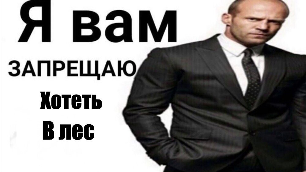 Мем Хотеть в лес №355672