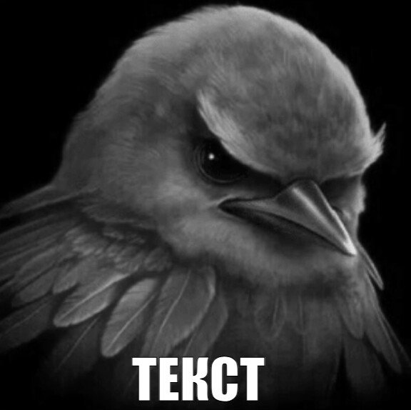 Мем Текст №382834