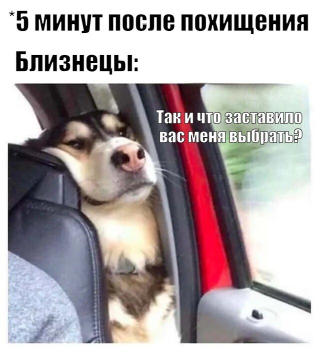 Мем Так и что заставило вас меня выбрать? *5 минут после похищения №232345