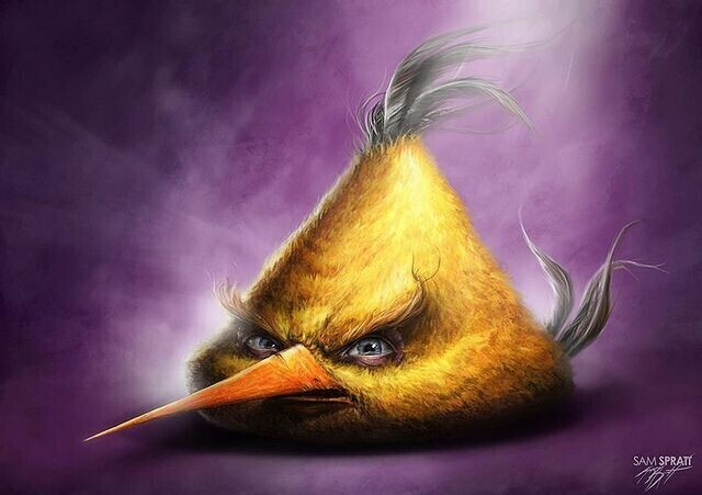 Создать мем «sam spratt realistic angry birds, реалистичные птицы энгри ...